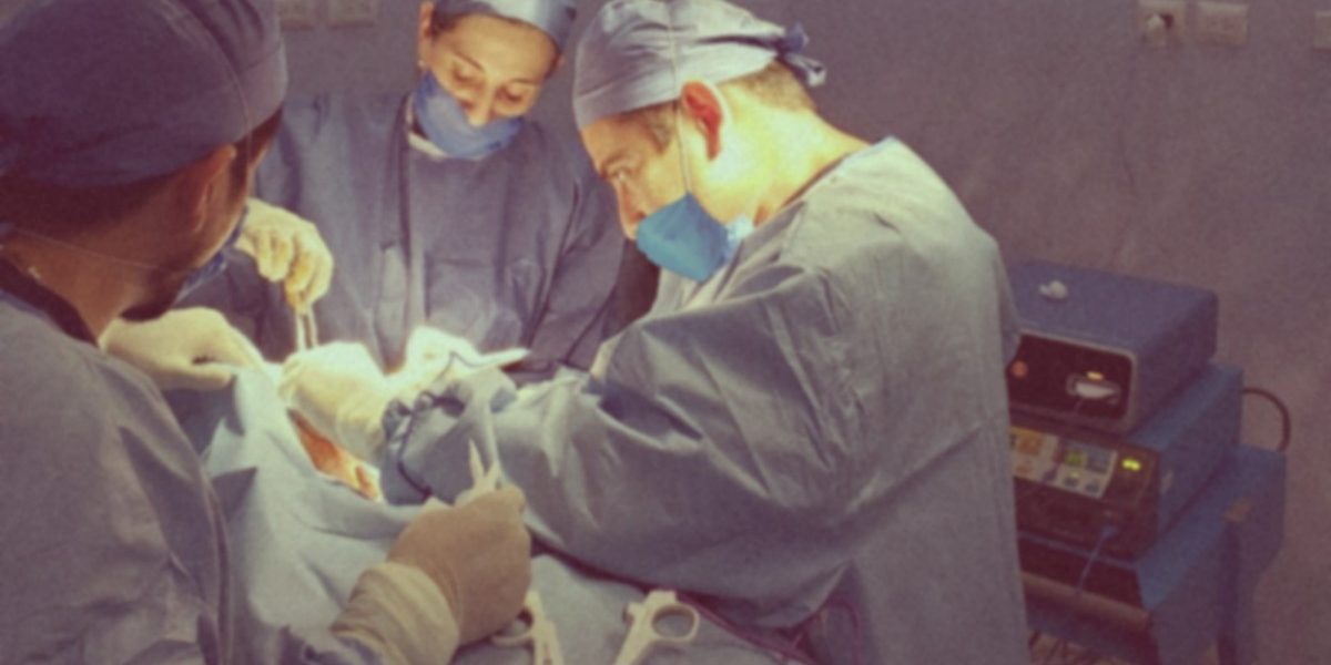 Alimentación temprana en cirugía de colon - Cirujano Oncólogo en Mérida ...